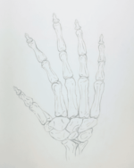 Learn Drawing a Skeleton Hand - Artwithlifestyle